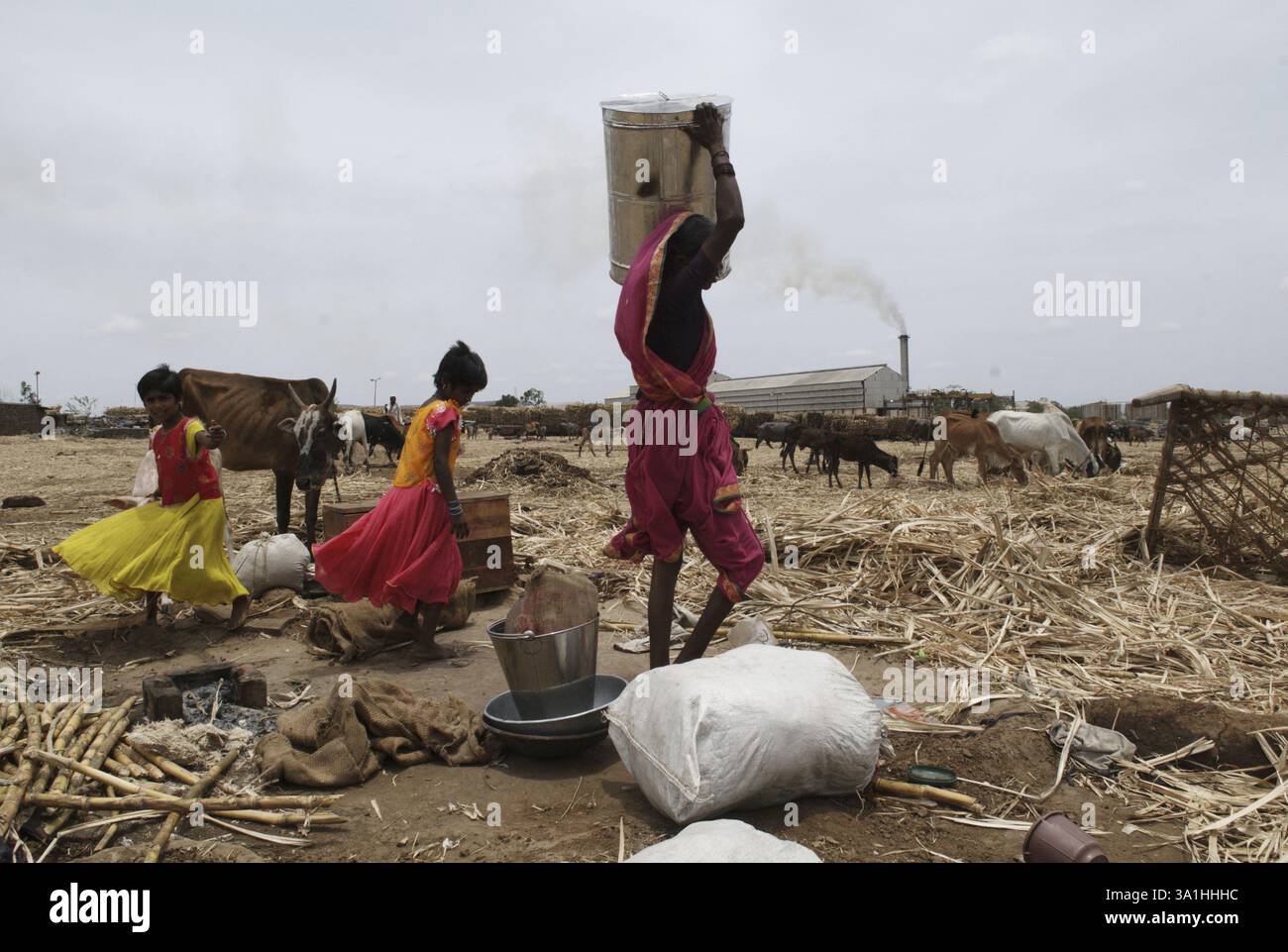 Migration due to water scarcity, Beed, Maharashtra, India, Asia Stock ...