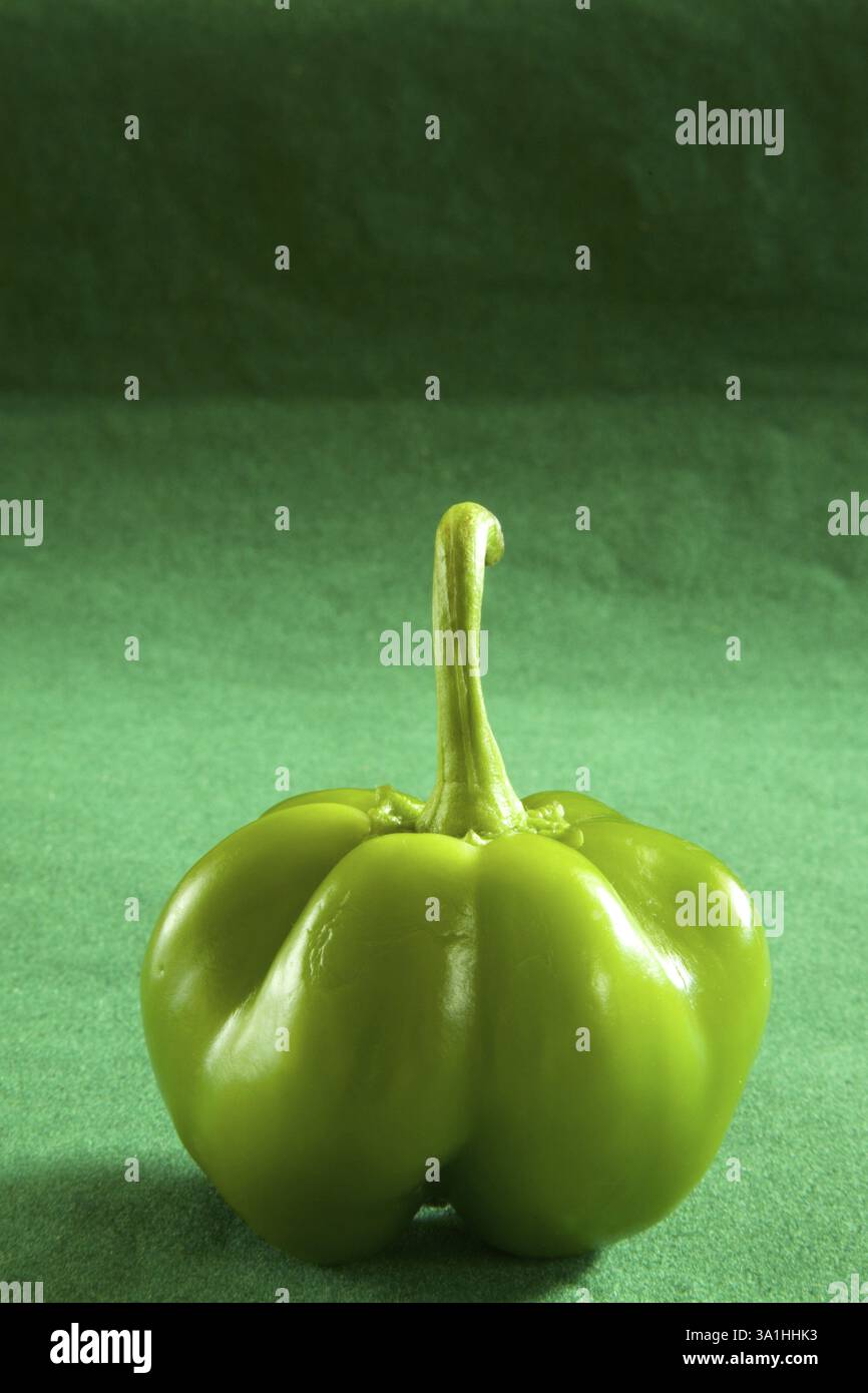 Vegetable, spice chilli green Capsicum Shimla Mirch Capsicum annuum ...