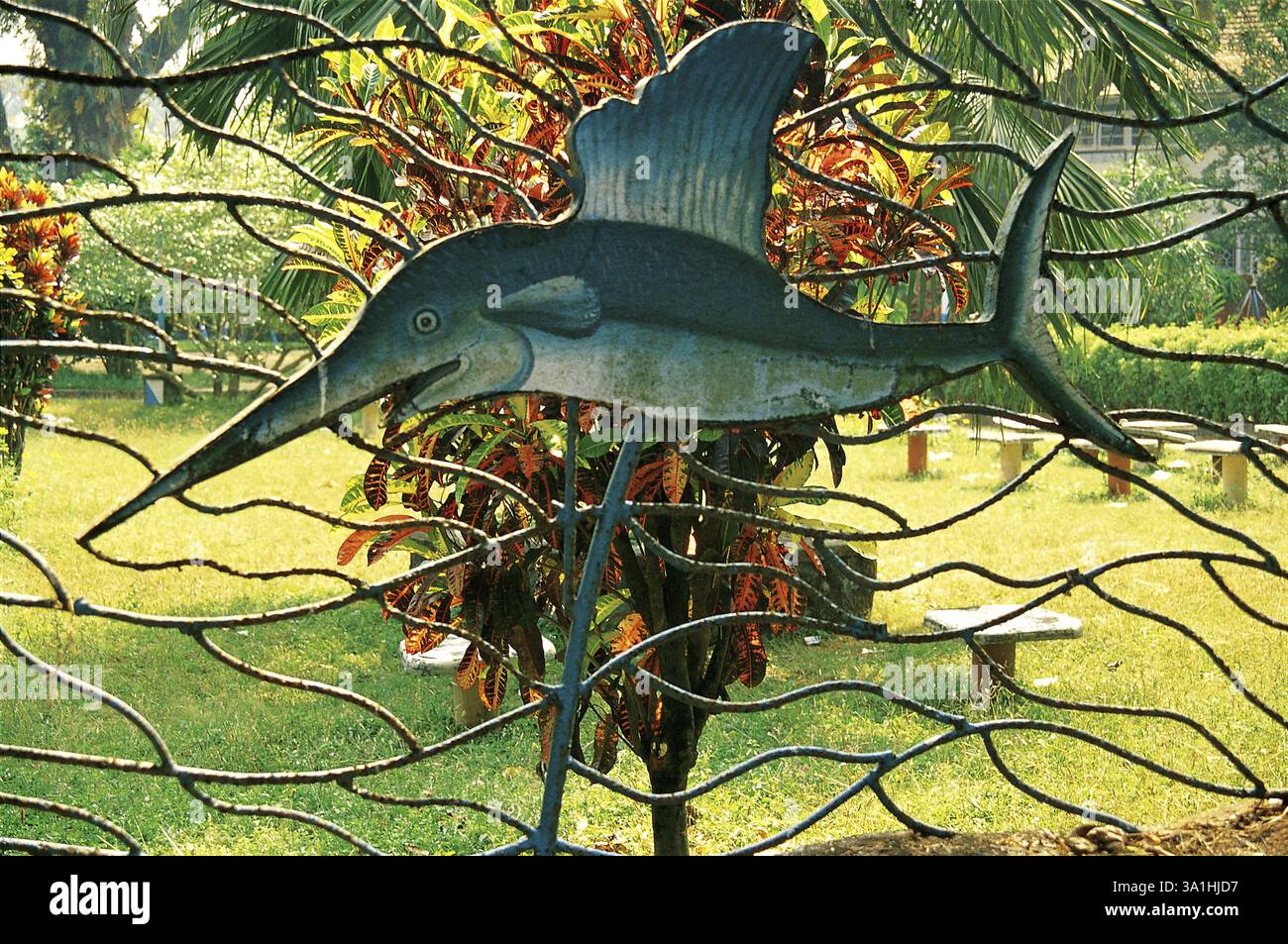 Croton highlighting fish fencing of garden, Kerala, India, Asia Stock ...