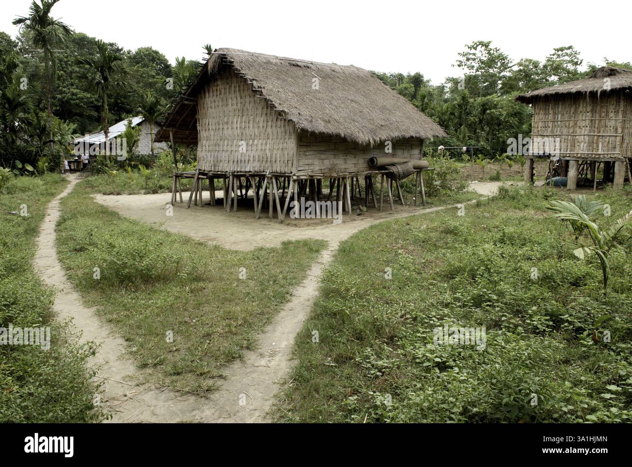 Rural houses, Chakma tribe, Arunachal Pradesh, India, Asia Stock Photo ...