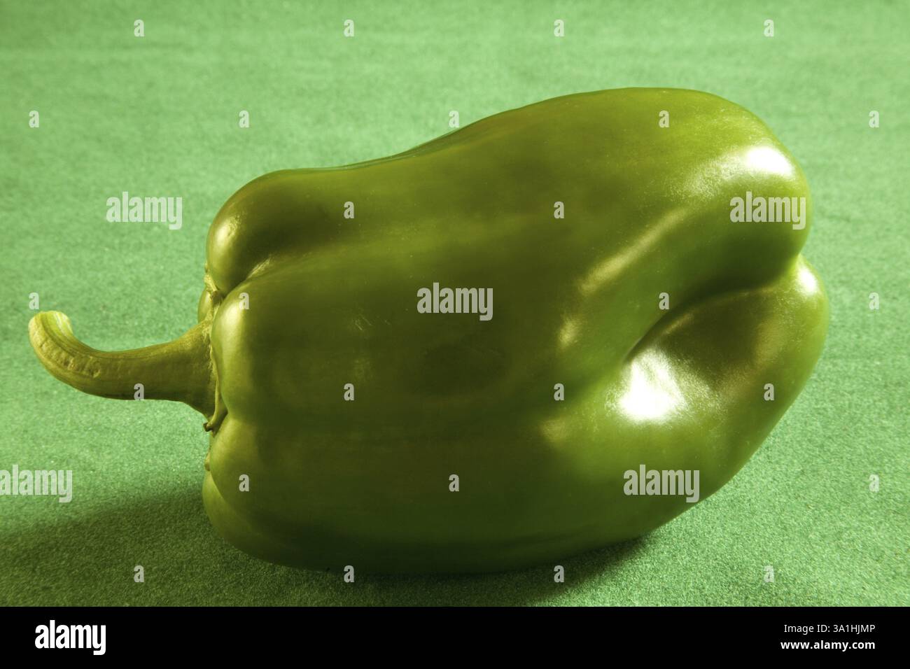 Vegetable, spice chilli green Capsicum Shimla Mirch Capsicum annuum ...