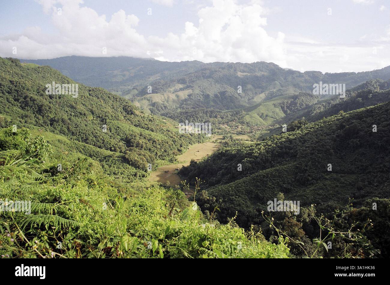 Greenery, India, Asia Stock Photo - Alamy