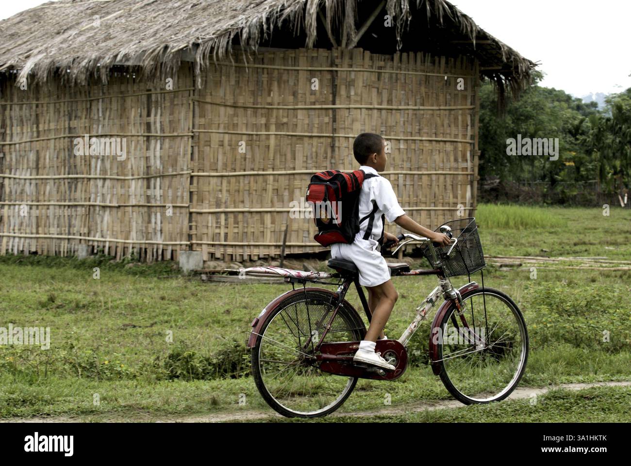 School boy on bicycle, Diyun, Arunachal Pradesh, India, Asia Stock ...