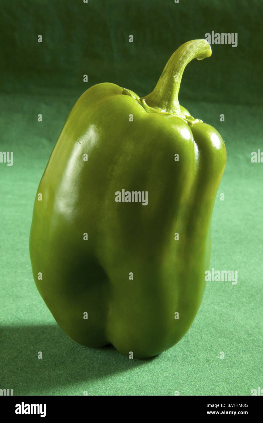 Vegetable, spice chilli green Capsicum Shimla Mirch Capsicum annuum ...