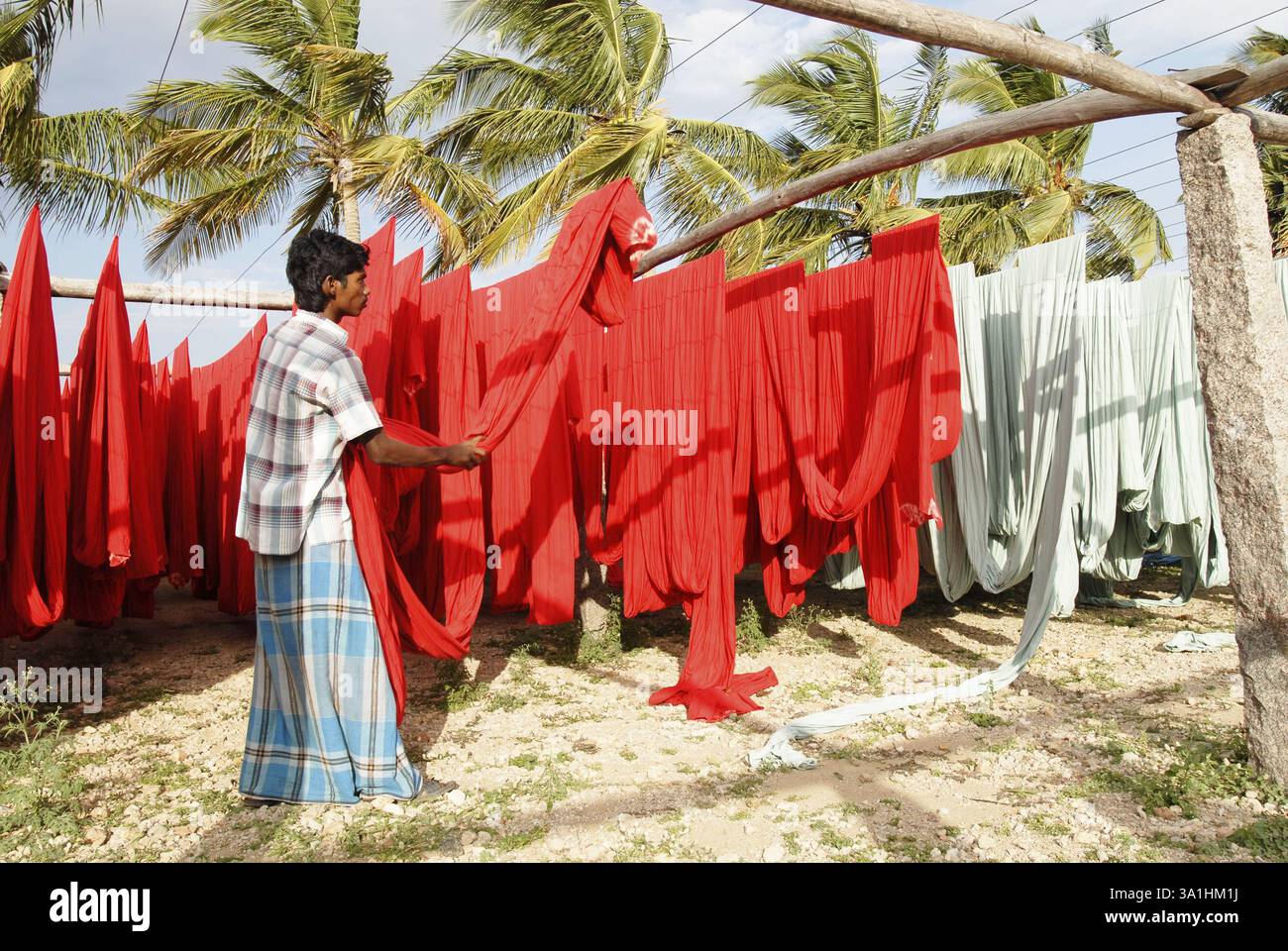 Fabric drying yard, garment industry, Tirupur, Tamil Nadu, India, Asia ...