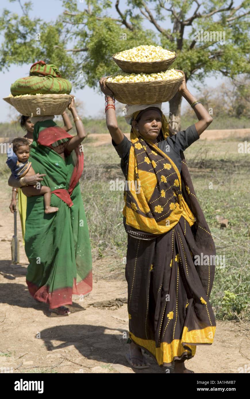 Human role in nature asian hi-res stock photography and images - Alamy