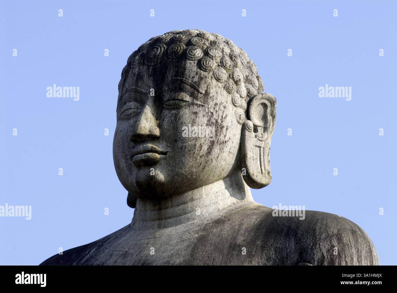 Close view of huge head of Gomateshawara, 42 feet high, 80 tons weight ...