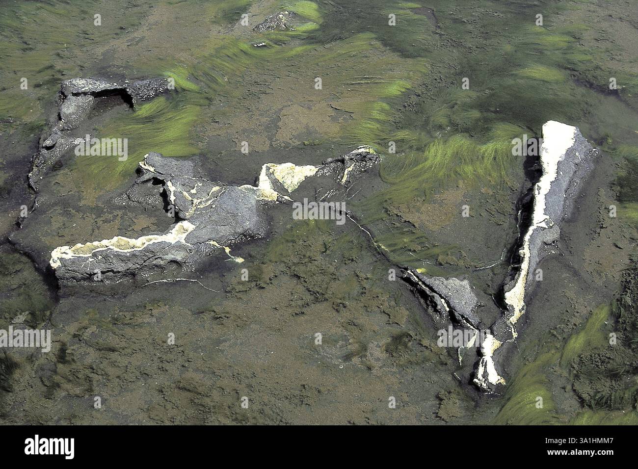Marble-streaked basaltic rock, Harihareshwar, Maharashtra, India, Asia ...