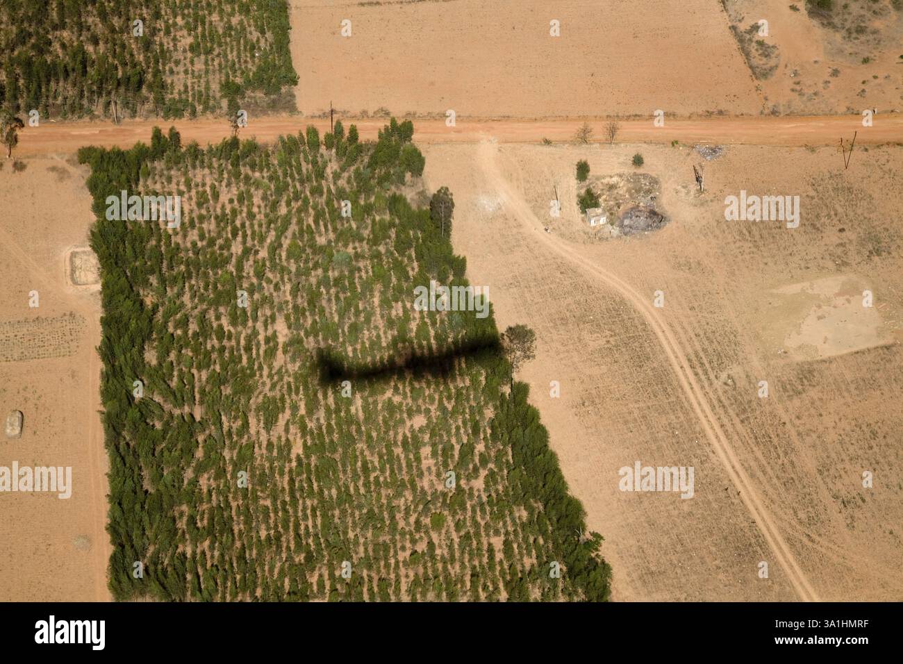Aerial view from kingfisher air bus flying above Bengaluru ...