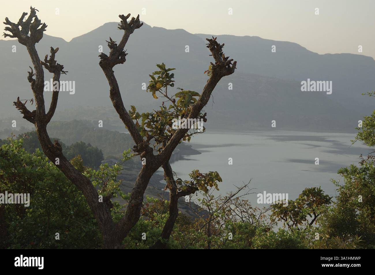 View of Bhandardara Dam, Maharashtra, India, Asia Stock Photo - Alamy