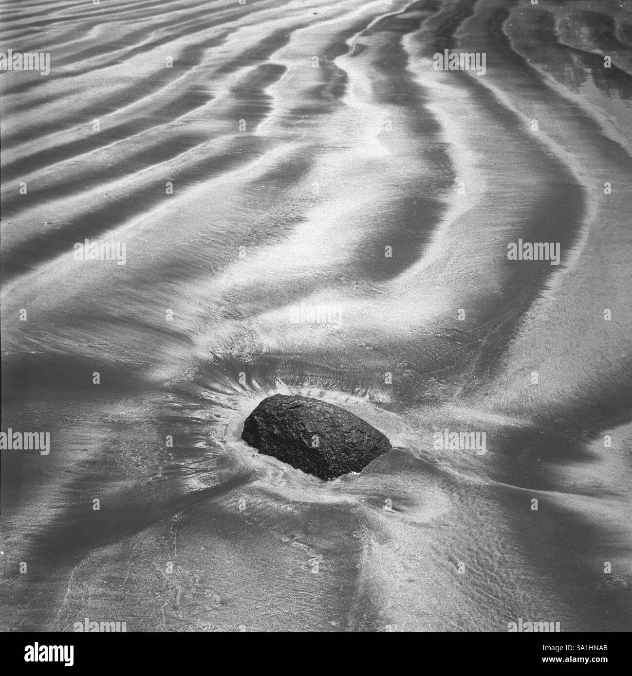Rock on sand, Porbandar area of Gujarat, India, Asia Stock Photo - Alamy