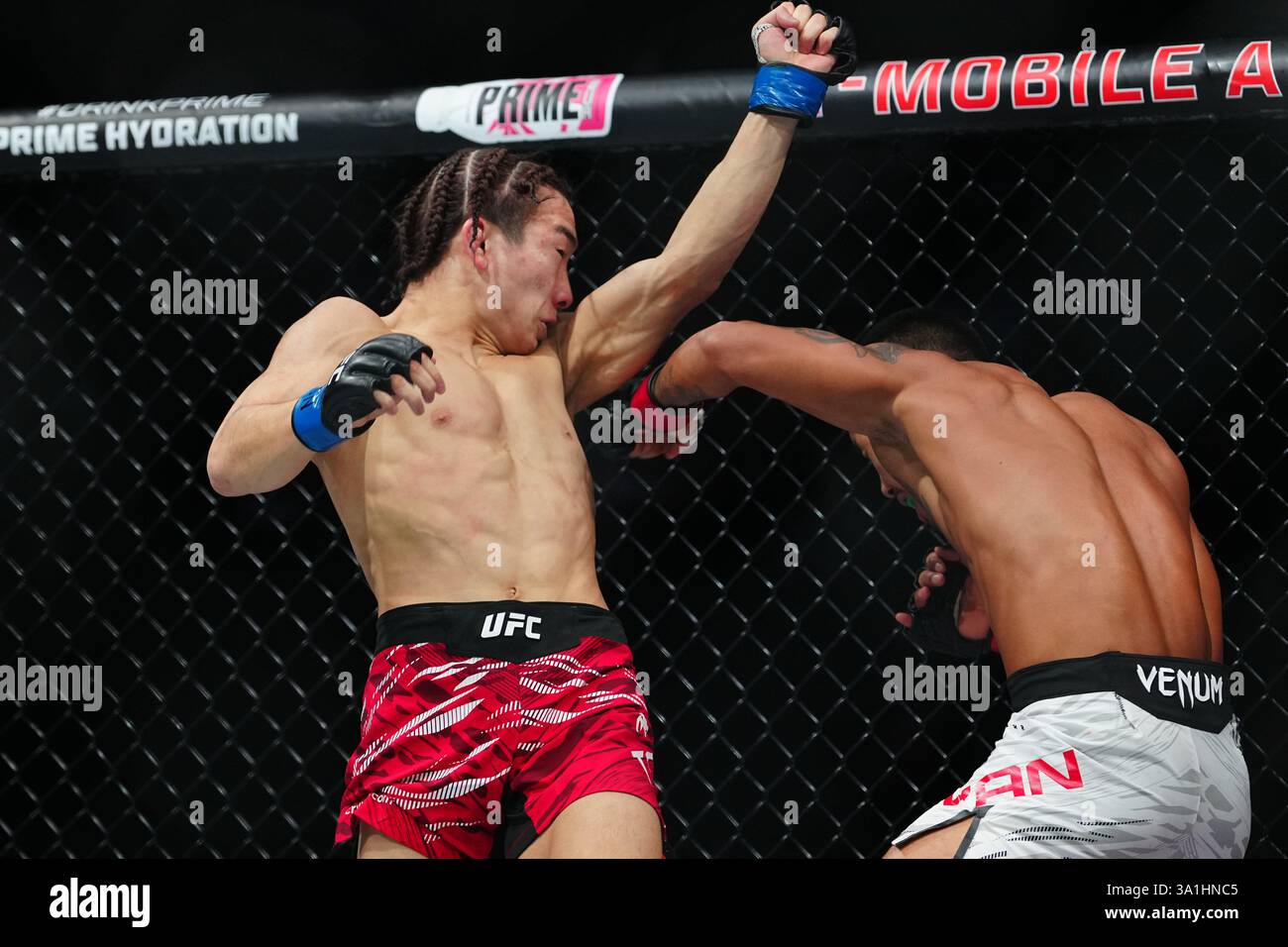 LAS VEGAS, NV - MARCH 8:Joshua Van and Rei Tsuruya meet in the octagon ...