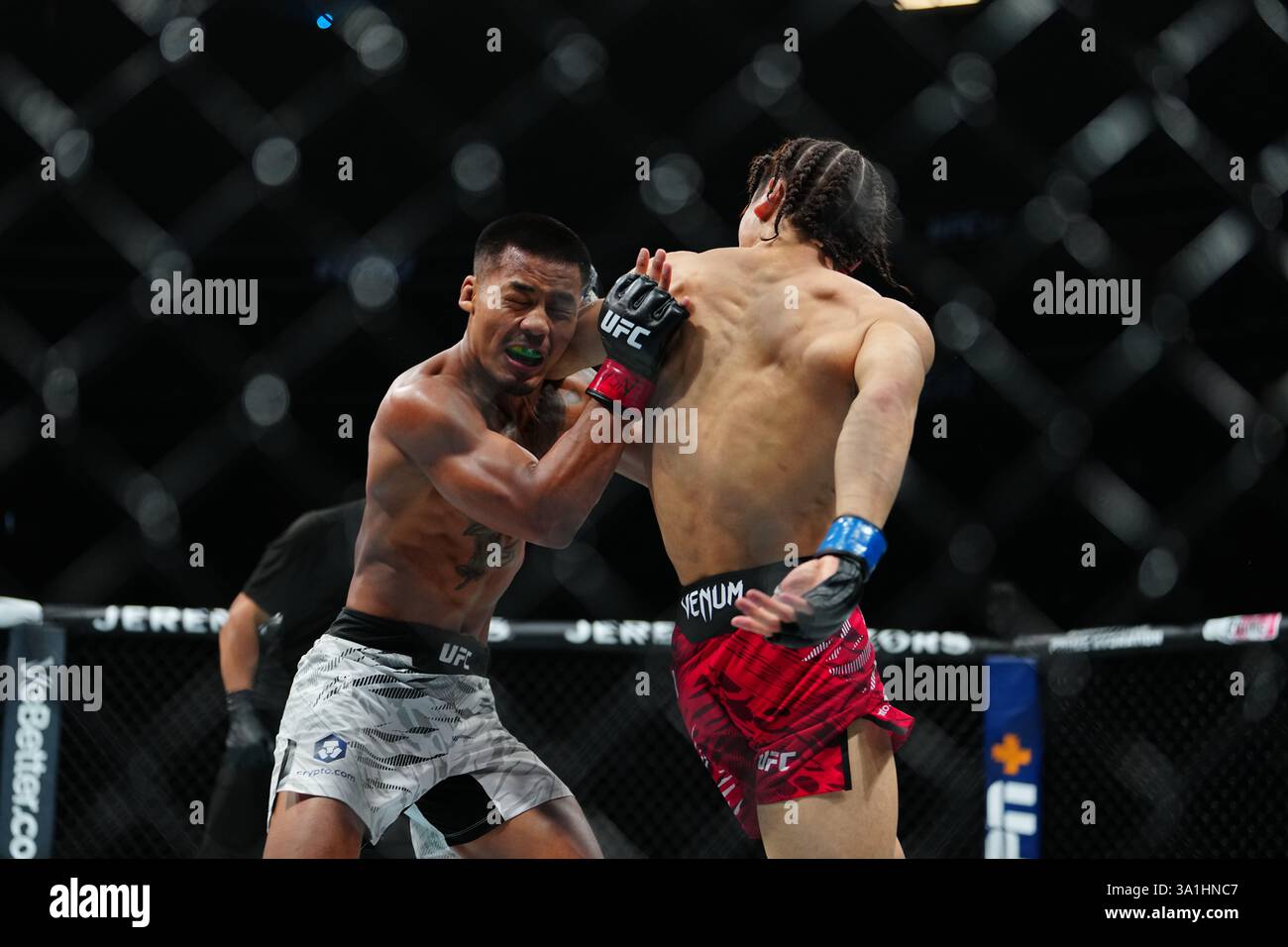 LAS VEGAS, NV - MARCH 8:Joshua Van and Rei Tsuruya meet in the octagon ...
