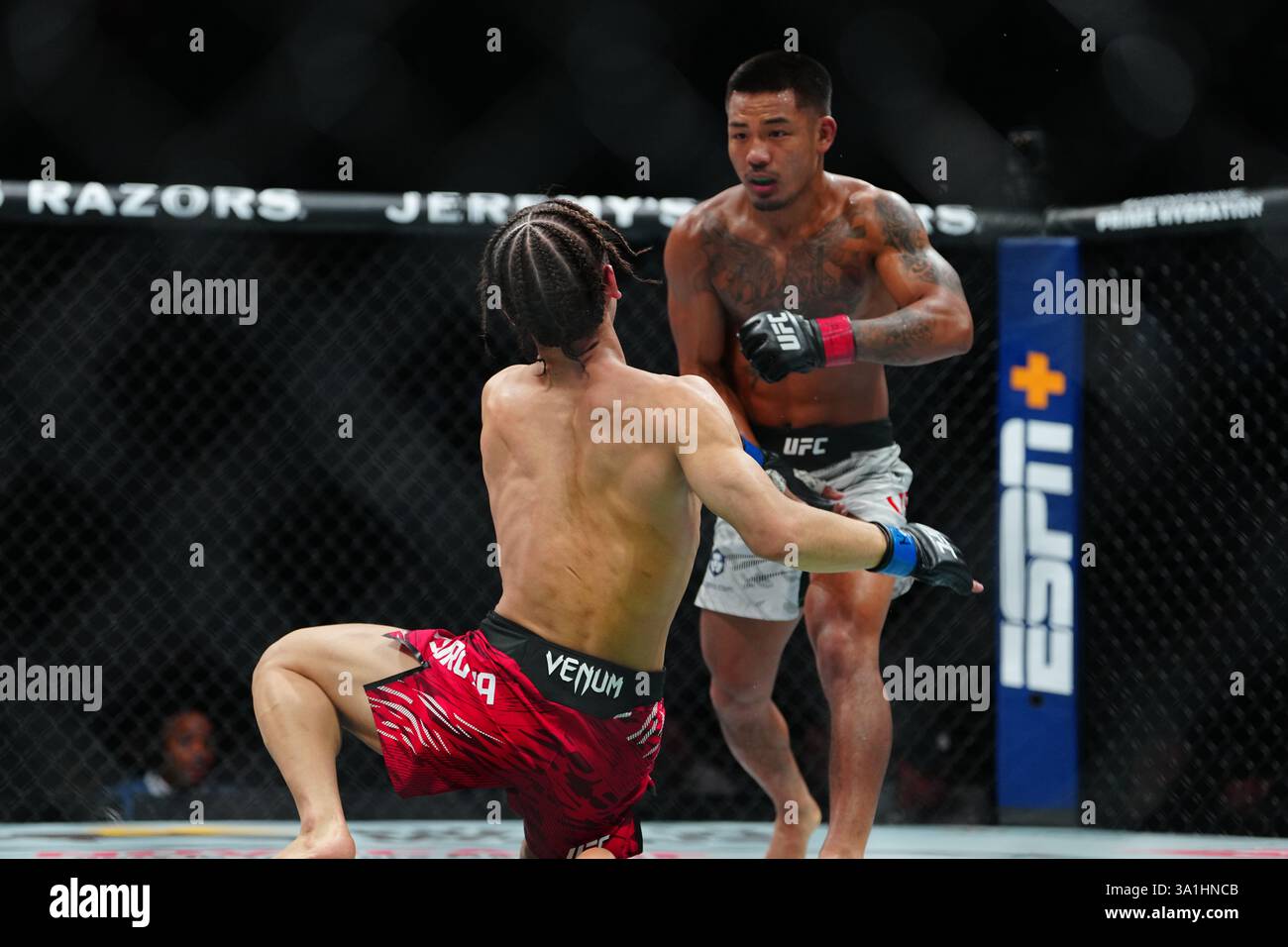 LAS VEGAS, NV - MARCH 8:Joshua Van and Rei Tsuruya meet in the octagon ...