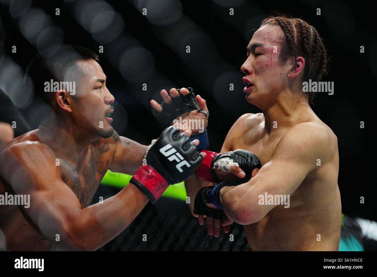 LAS VEGAS, NV - MARCH 8:Joshua Van and Rei Tsuruya meet in the octagon ...