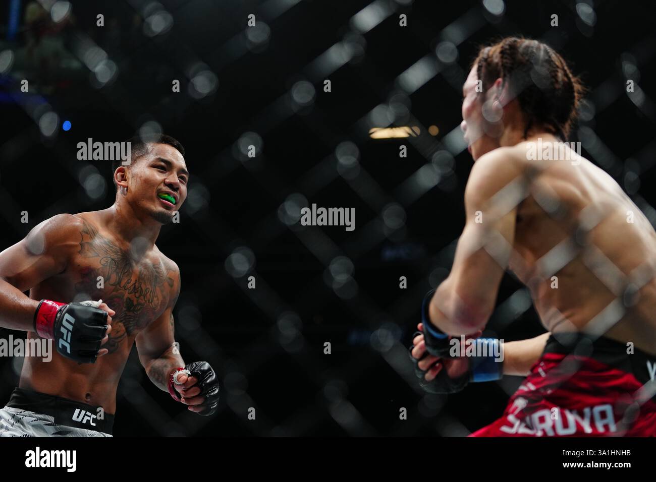 LAS VEGAS, NV - MARCH 8:Joshua Van and Rei Tsuruya meet in the octagon ...