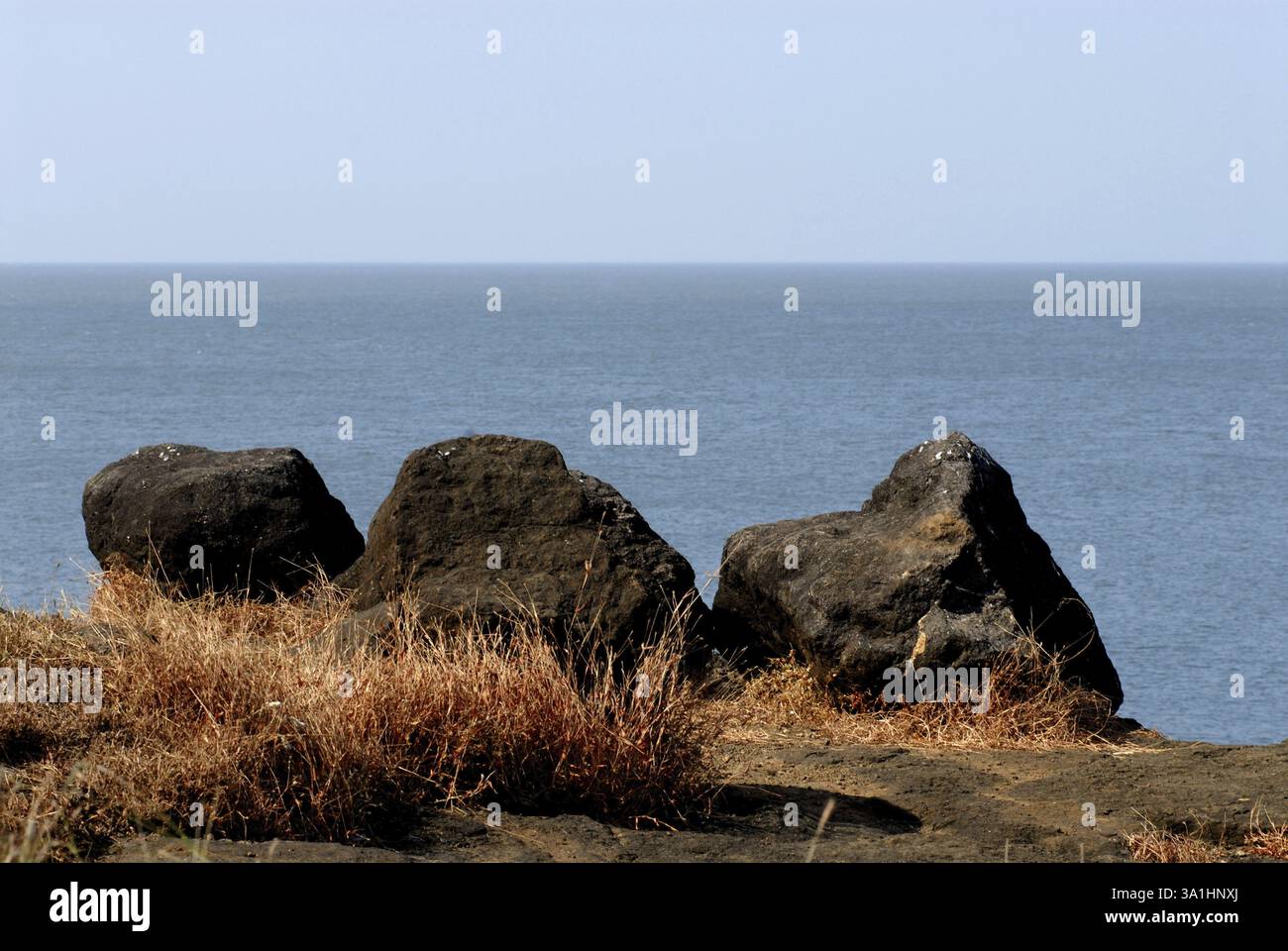 Black rocks and dry grass with blue water of Arabian sea at ...