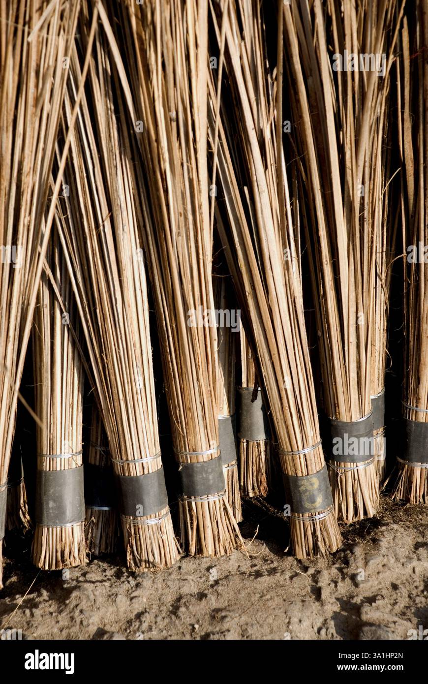 Indian brooms hi-res stock photography and images - Alamy