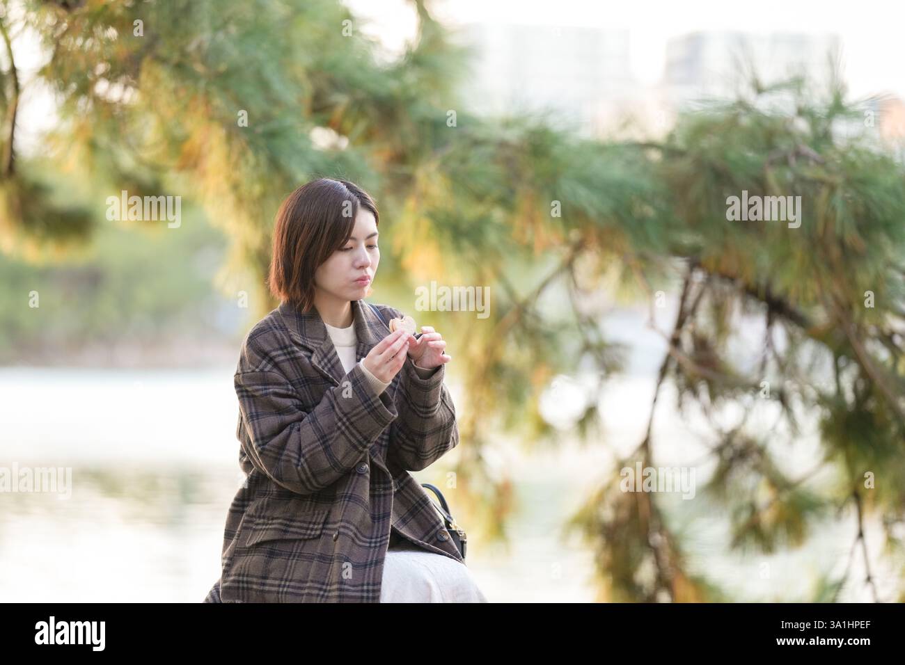 Winter at Ohori Park in Chuo Ward, Fukuoka City, Japan. A 29-year-old ...