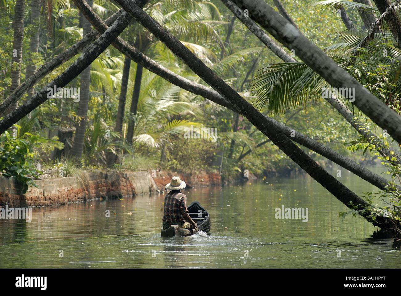 Boating in backwater, Kerala, India, Asia Stock Photo - Alamy