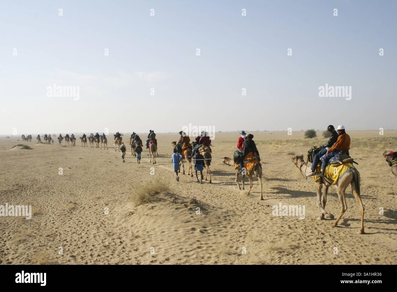 Camel ride at Sam Thar desert safari sand dunes, Jaisalmer, Rajasthan ...