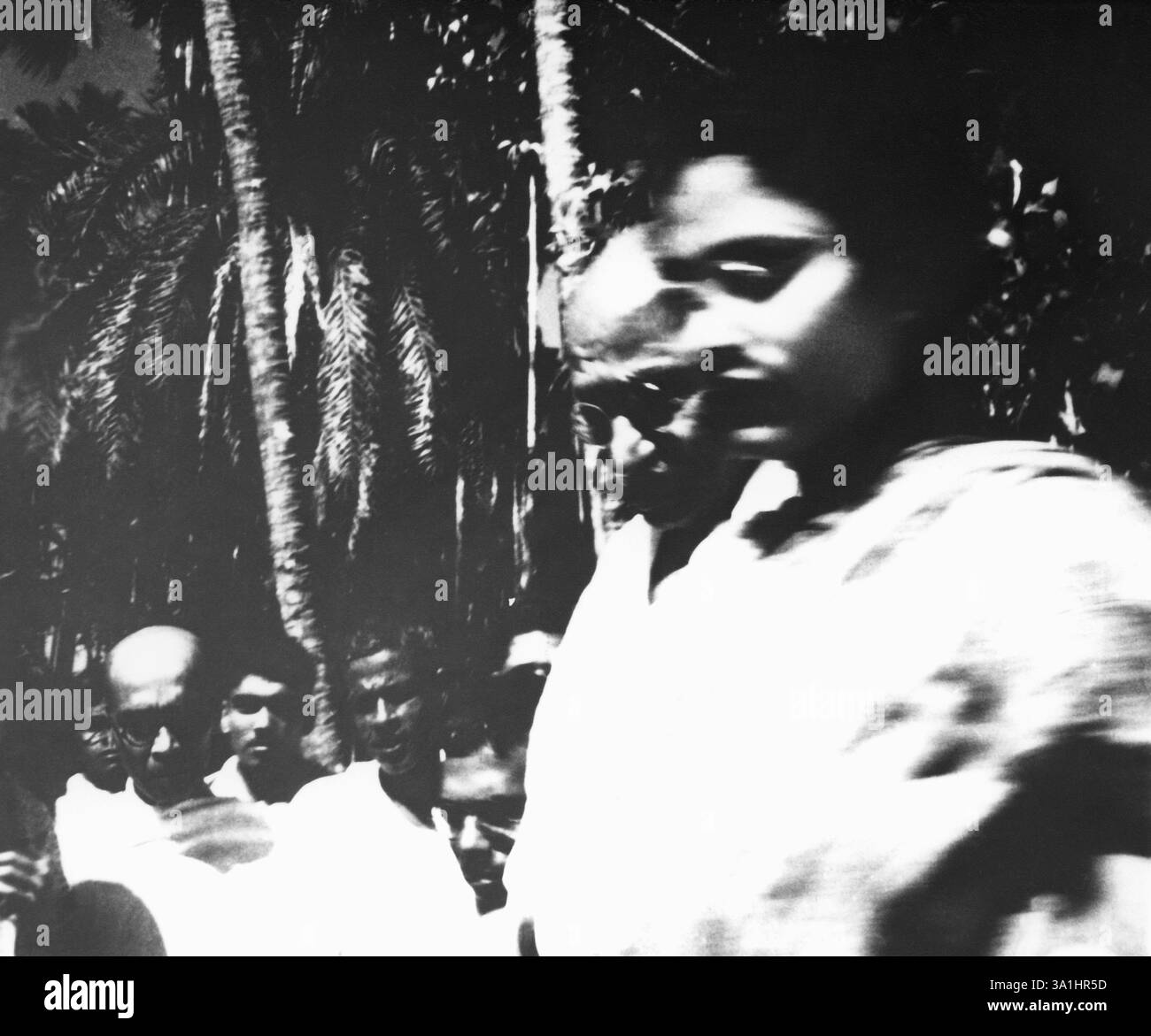 Mahatma Gandhi walking with Abha Gandhi Amrutlal Chatterjee others ...