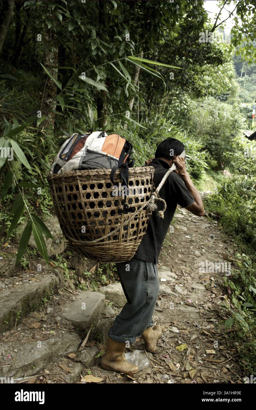 Rural man carrying bucket, Pastanga, Sikkim, India, Asia Stock Photo ...
