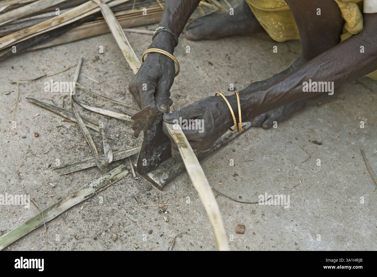 A woman hand-cutting dried palm leaves using a traditional board-knife ...