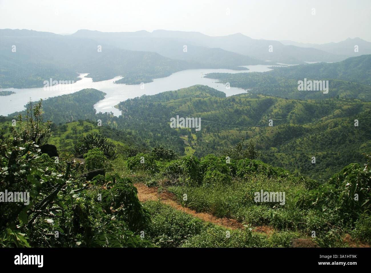 Misty landscape with back water of Koyna river forming shape of horse ...