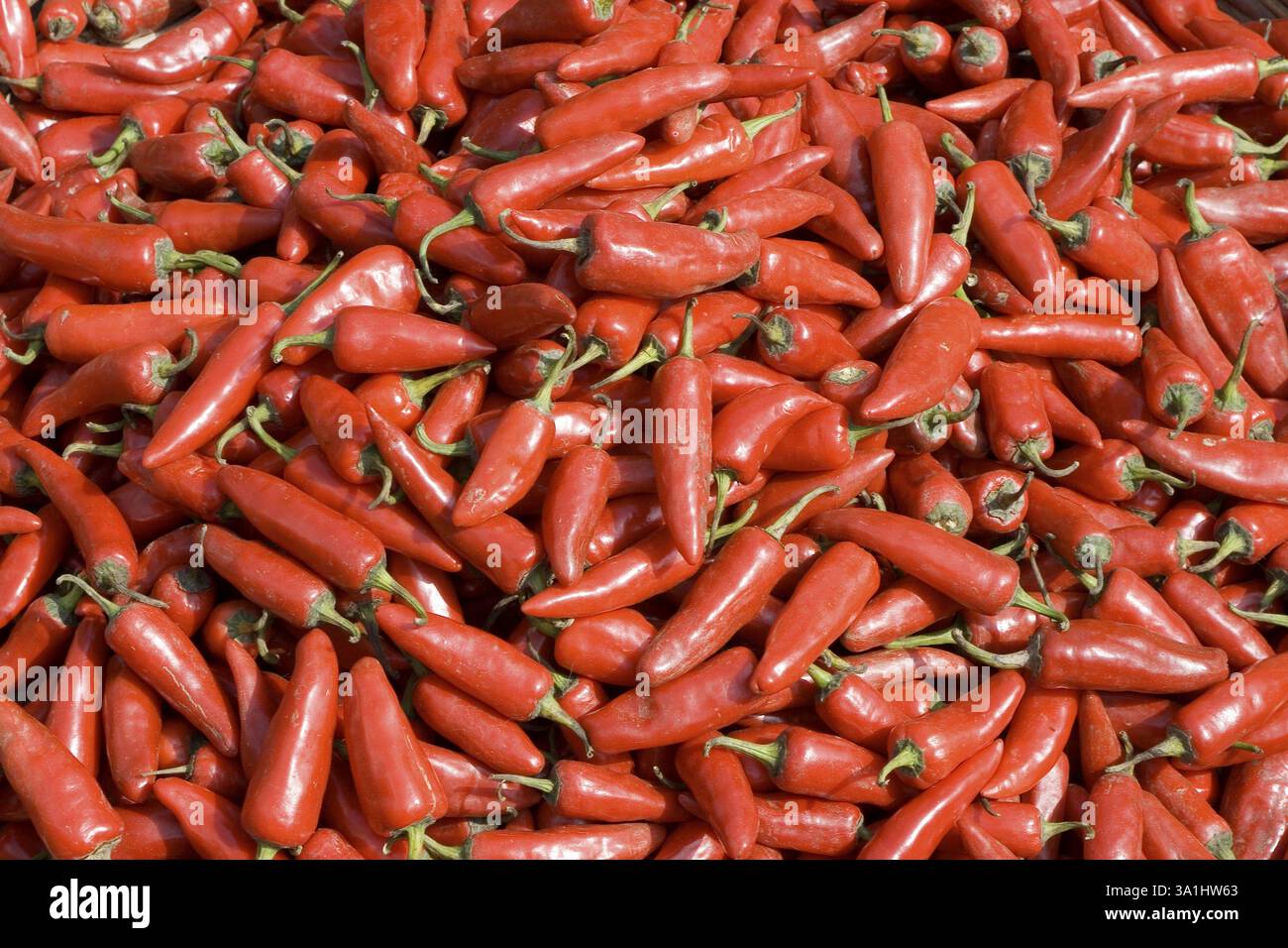 Vegetable red chilli india hi-res stock photography and images - Alamy