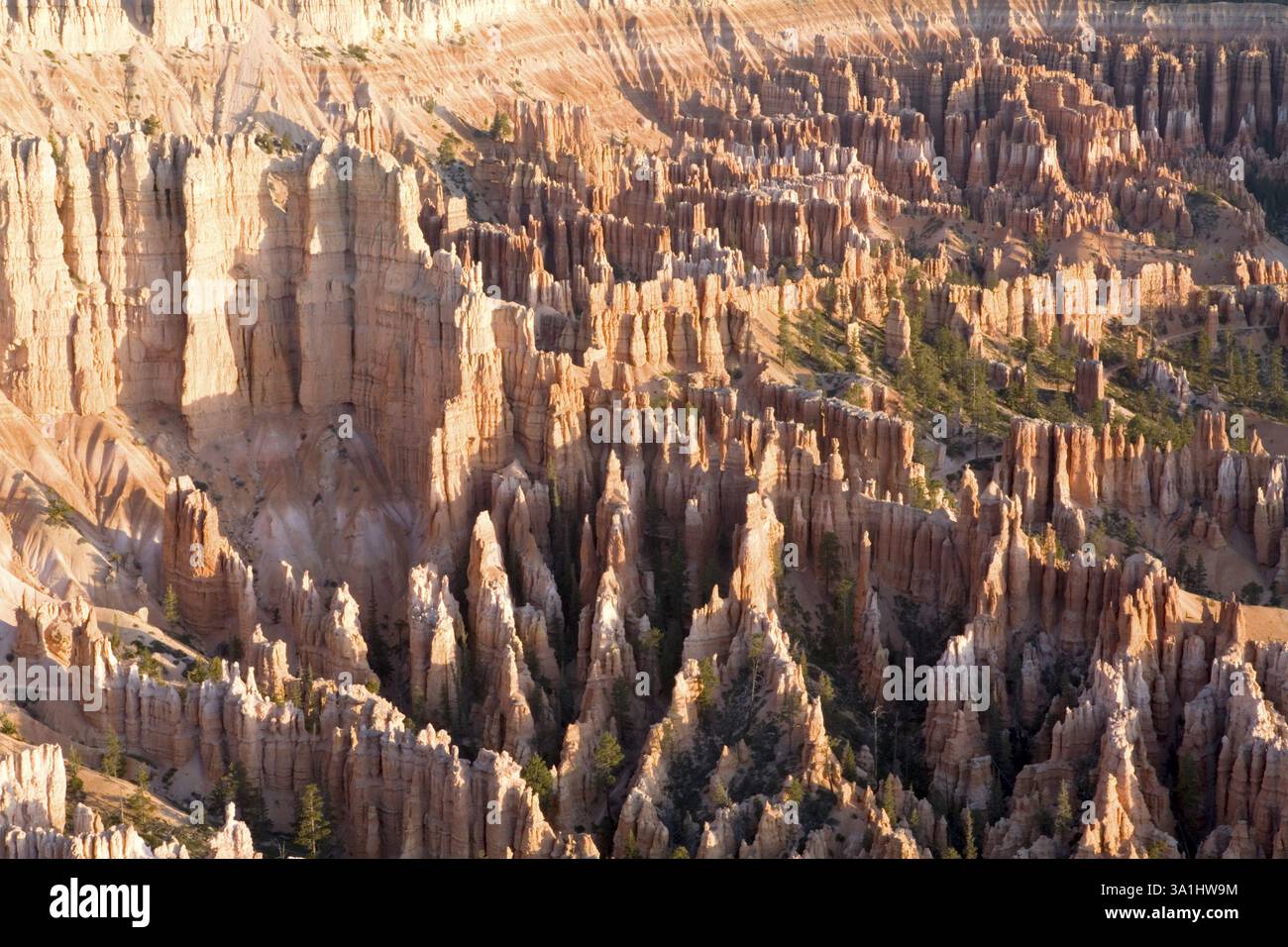 Hoodoos, pillar of rocks made by erosion at Bryce Canyon national park ...