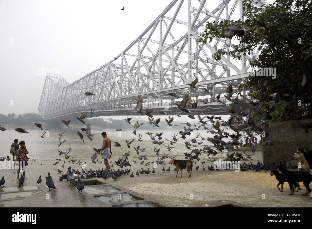 Activities on Babu ghat, Howrah bridge over Hooghly river in background ...