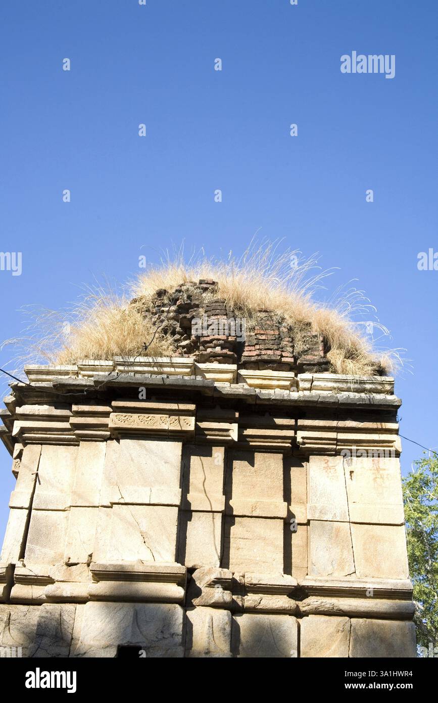 Dry grass over ancient monument temple in Bheel basti, village Dilwara ...