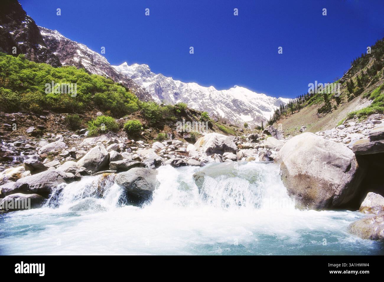 Landscape at Dhundi, Himachal Pradesh, India, Asia Stock Photo - Alamy
