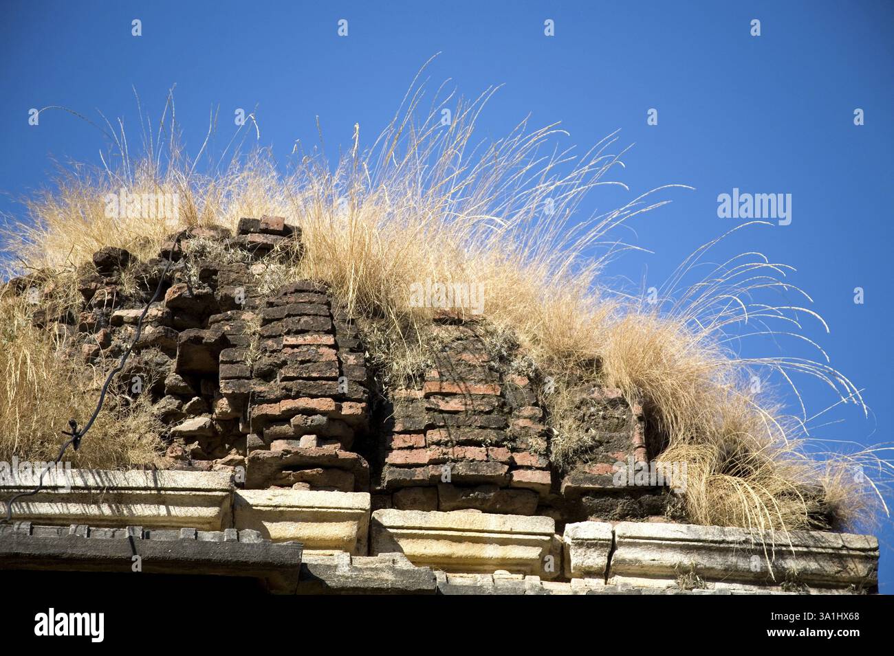 Dry grass over ancient monument temple in Bheel basti, village Dilwara ...