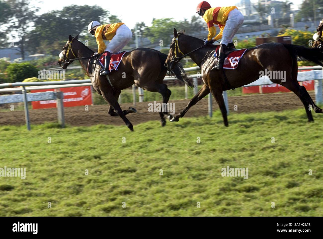 Horse races at Mahalaxmi Race course, Bombay Mumbai, Maharashtra, India ...
