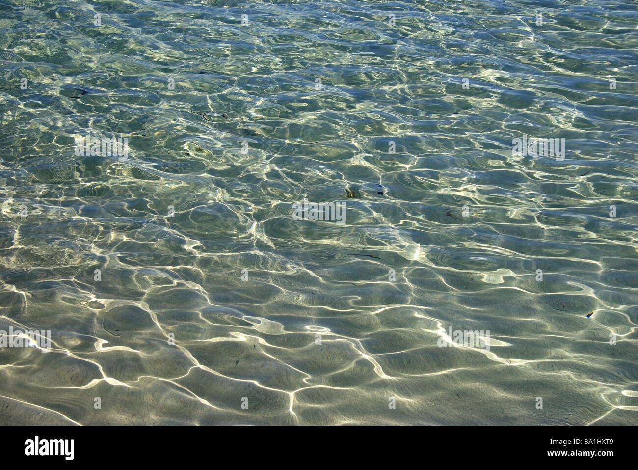 Sea water, Island Roatan, Country Honduras Stock Photo - Alamy