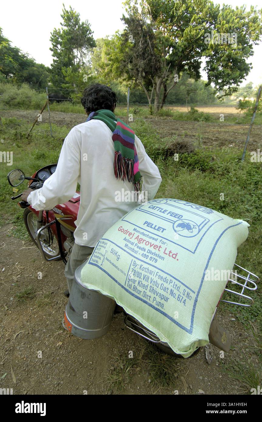 Man on bike with cattle feed bought from the Dairy, Ralegaon Siddhi ...
