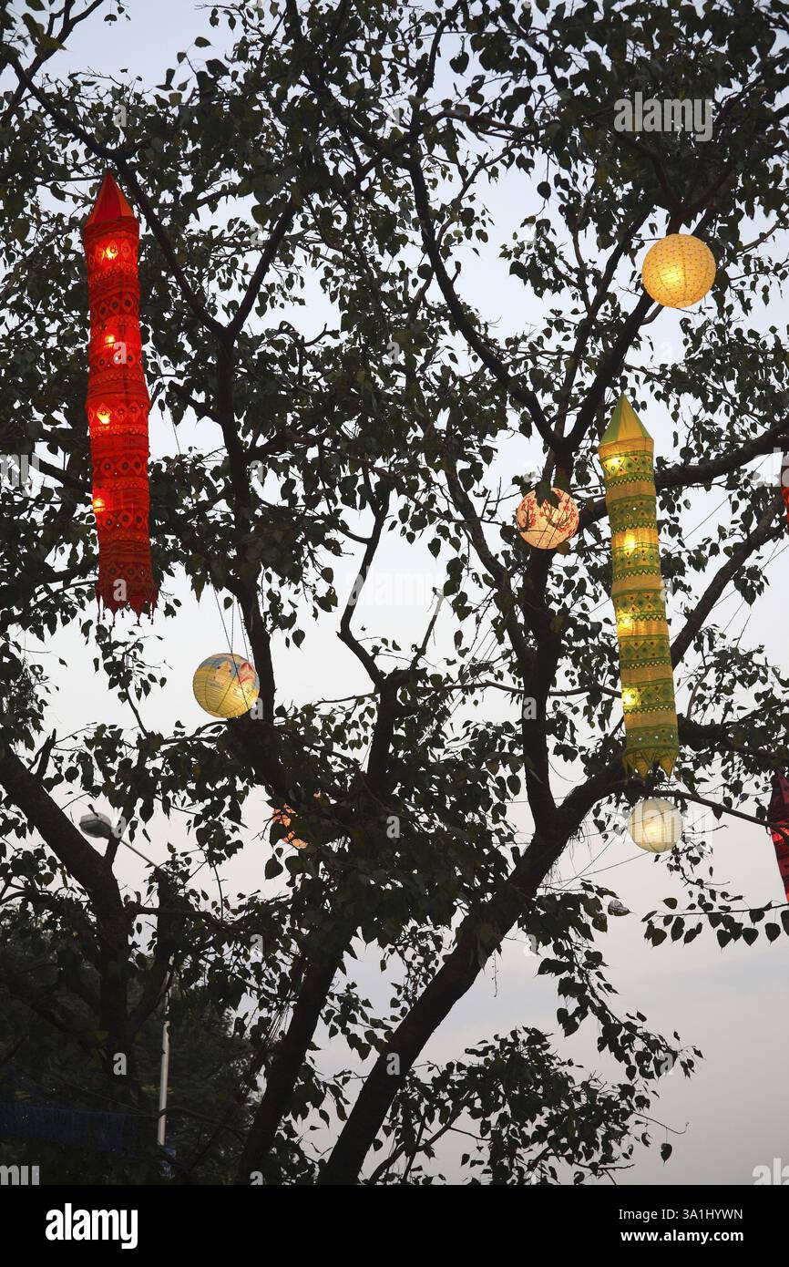 Indian Deepawali diwali festival, lanterns hanging on tree, Dadar ...