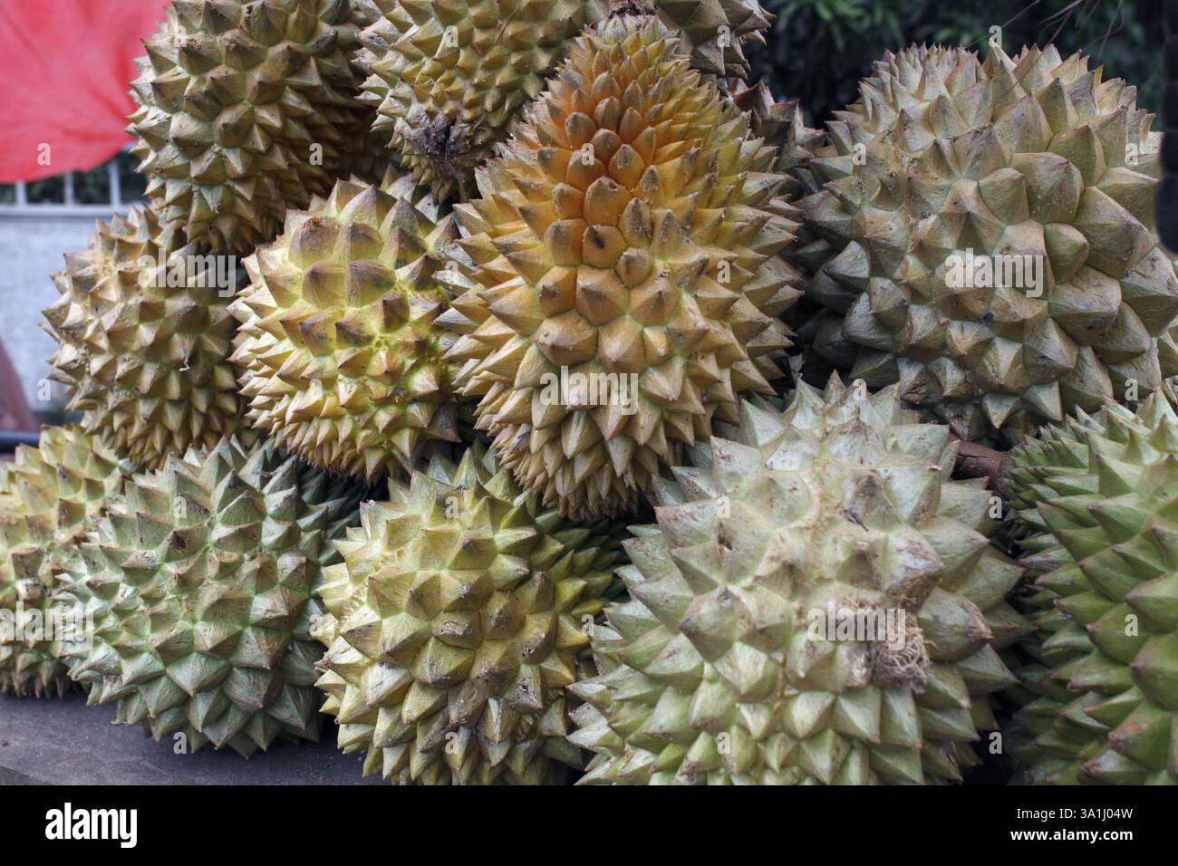 Durian from malay durian, Sri Lanka, Asia Stock Photo - Alamy