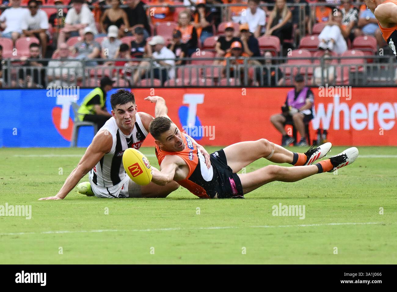 Brayden Maynard of Collingwood and Stephen Coniglio of the Giants ...