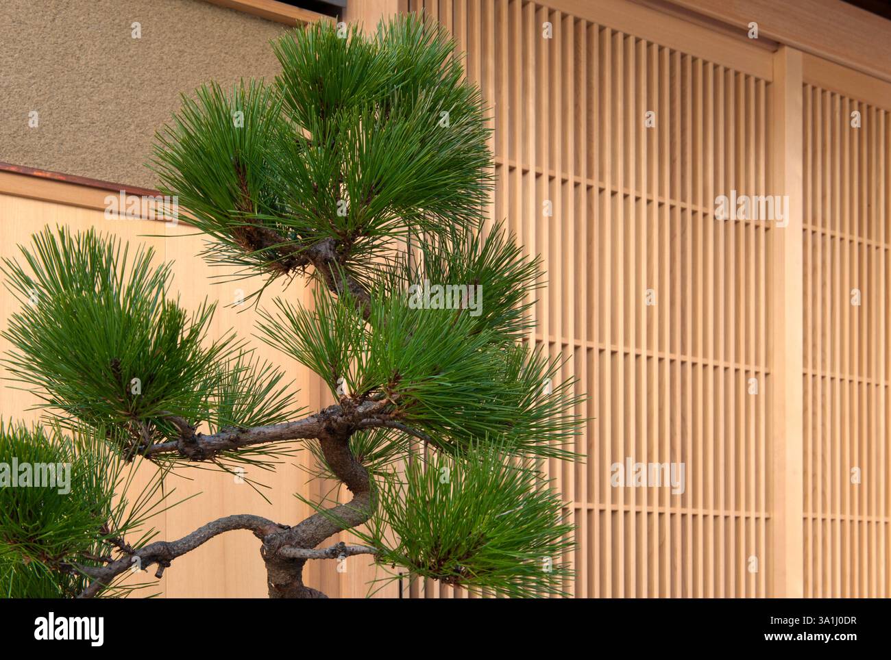Kyoto machiya townhouse in Miyagawa-cho uses traditional architectural ...