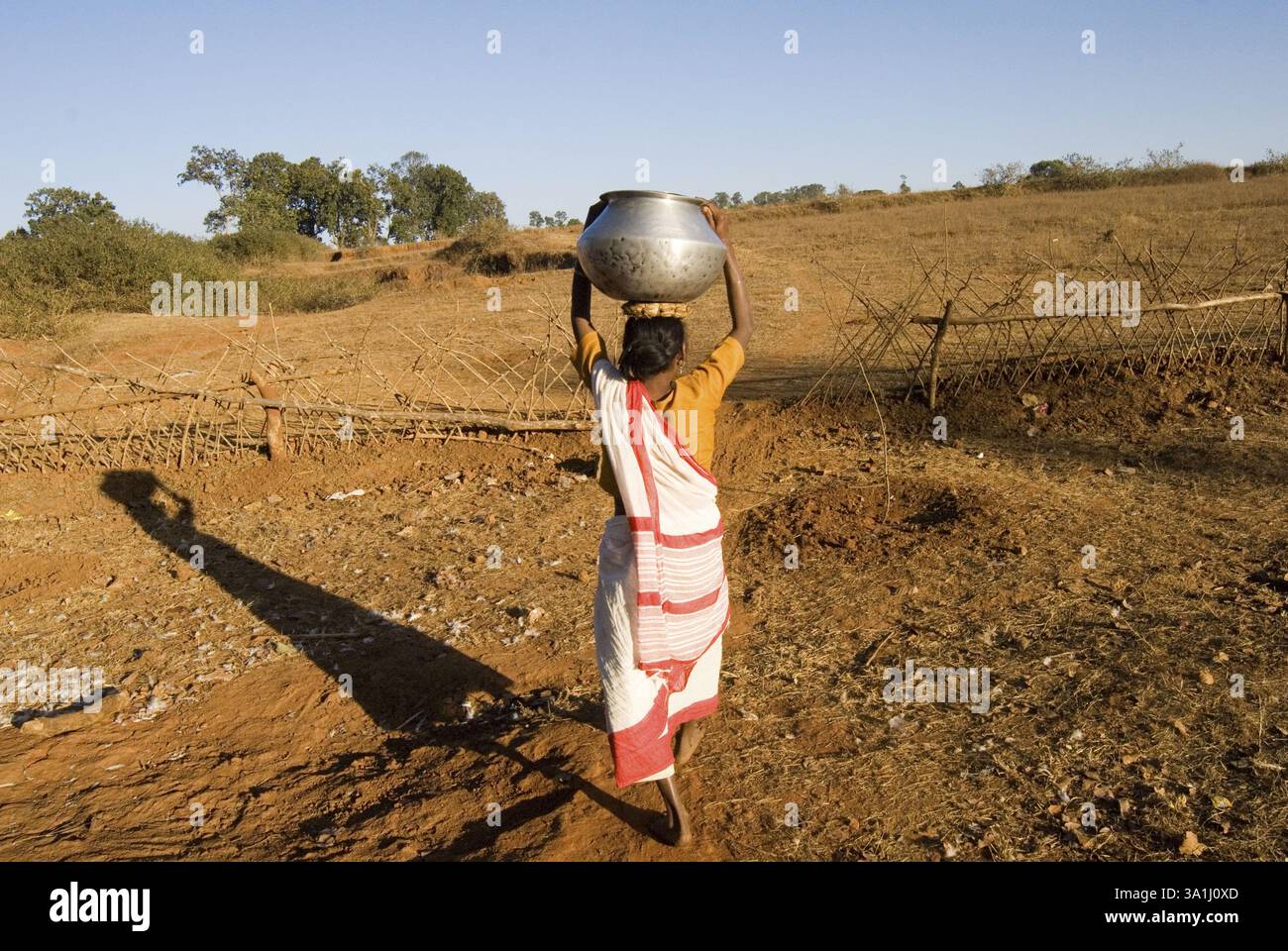 Rural woman carrying water pot on head, Jharkhand, India, Asia Stock ...
