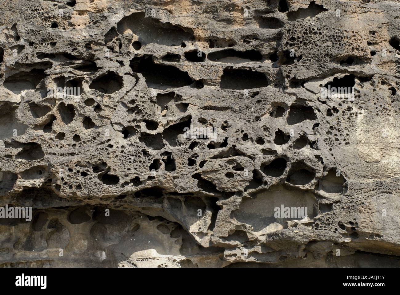 A splendid design made by sea waves on igneous rock of lava from ...