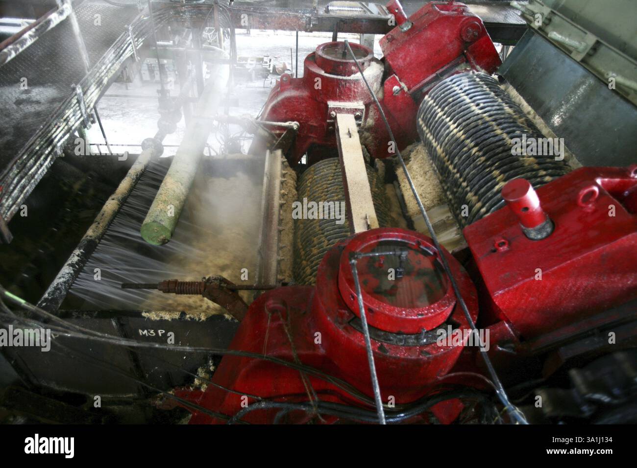 Hot water showers sprinkling water on the sugar cane while being ...