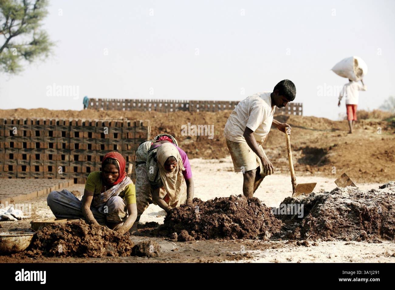 Workers including women at the brick factory in a village of Sangli ...