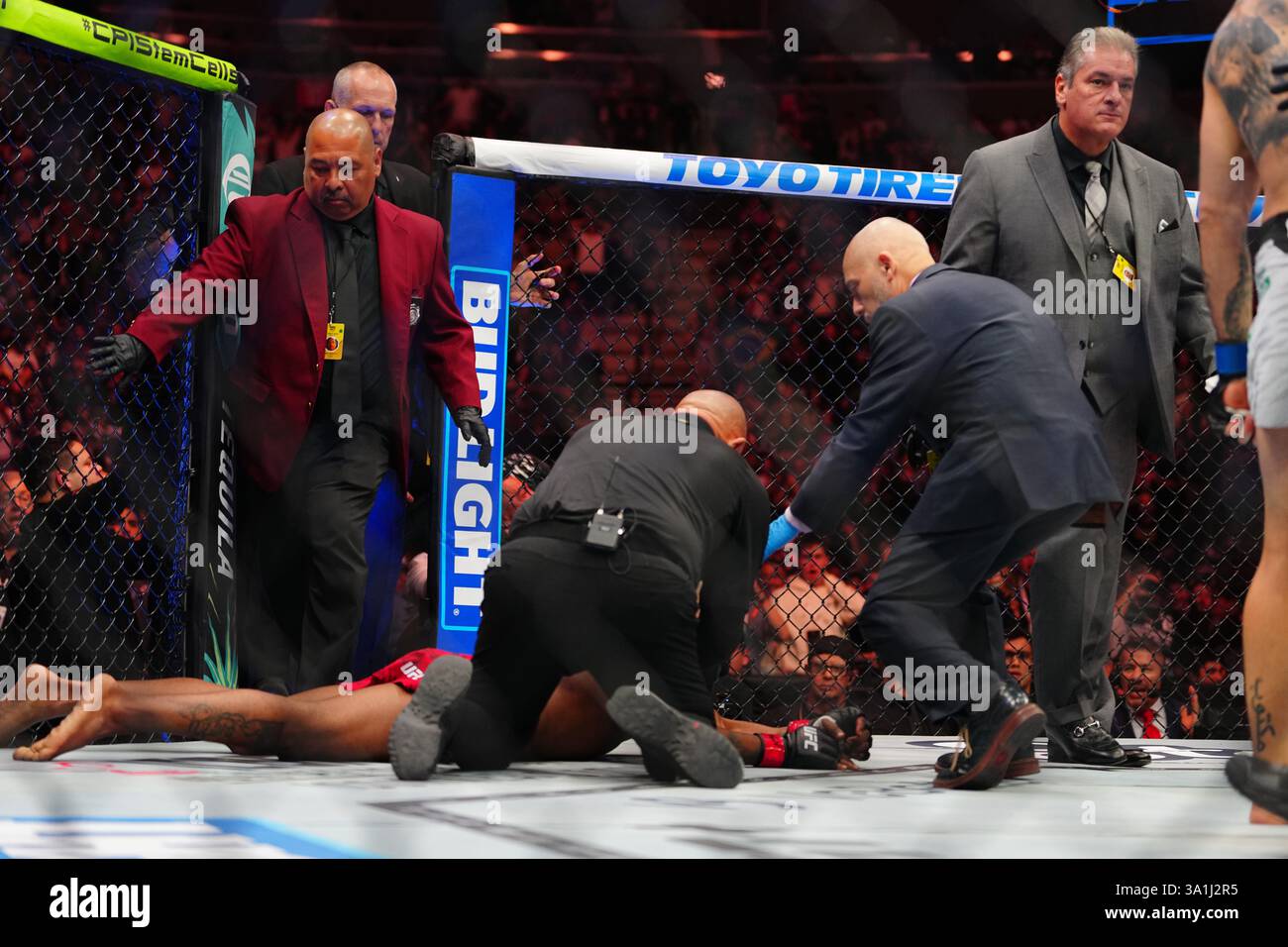 LAS VEGAS, NV - MARCH 8:Bobby Green and Mauricio Ruffy meet in the octagon for a 3-round bout at ...