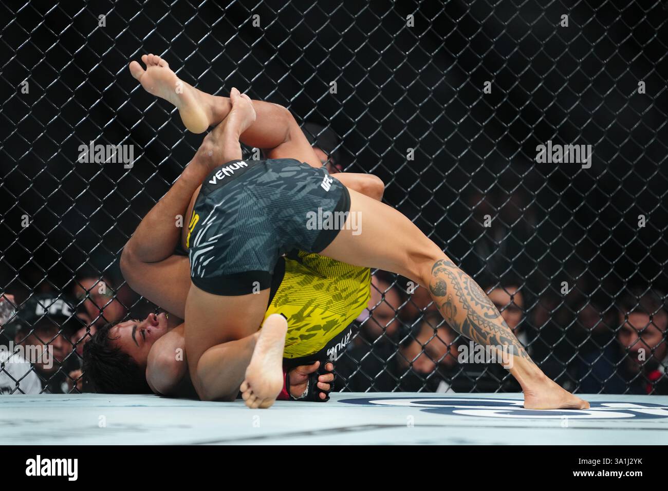 LAS VEGAS, NV - MARCH 8:Amanda Lemos and Iasmin Lucindo meet in the ...