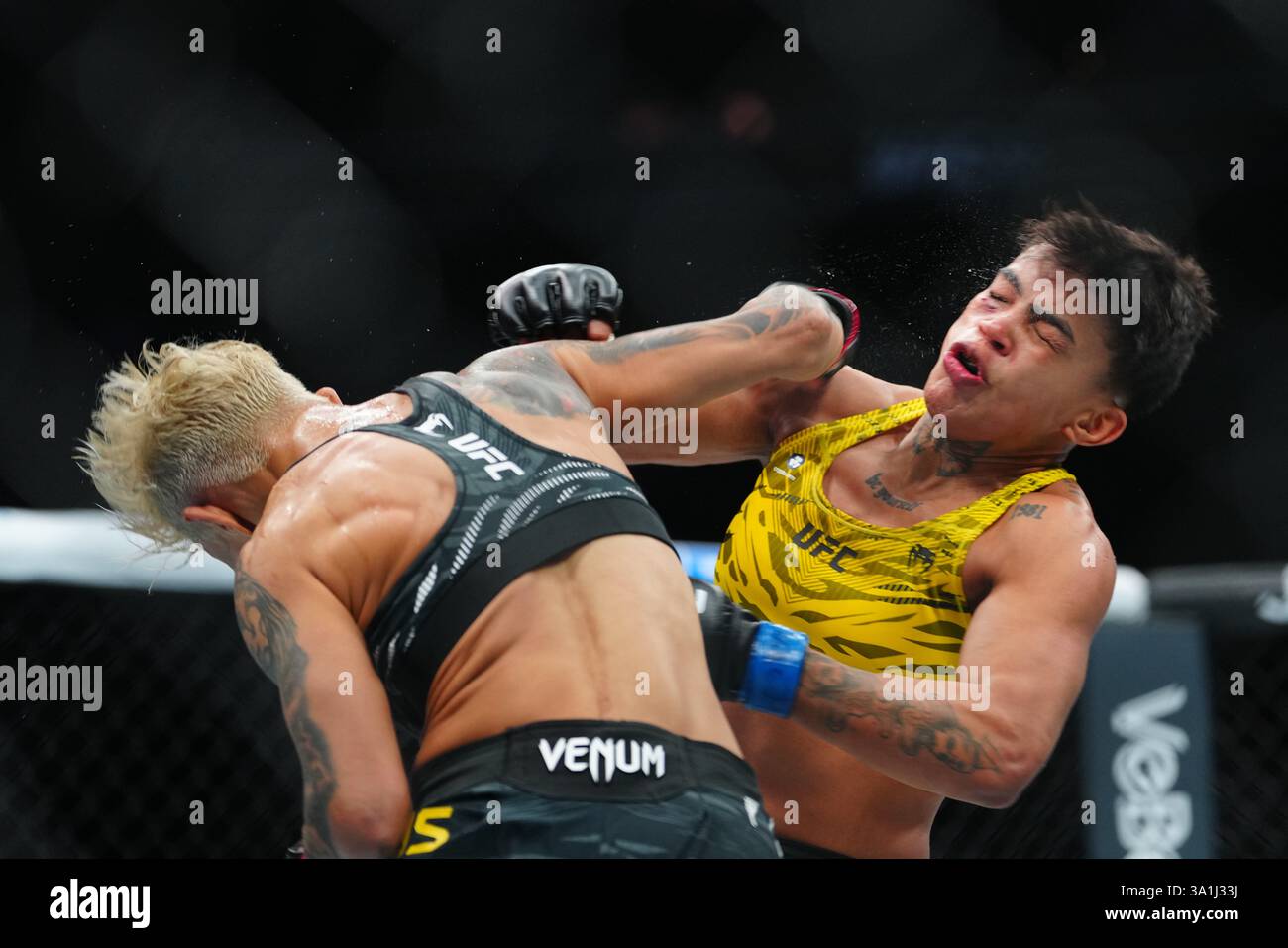 LAS VEGAS, NV - MARCH 8:Amanda Lemos and Iasmin Lucindo meet in the ...