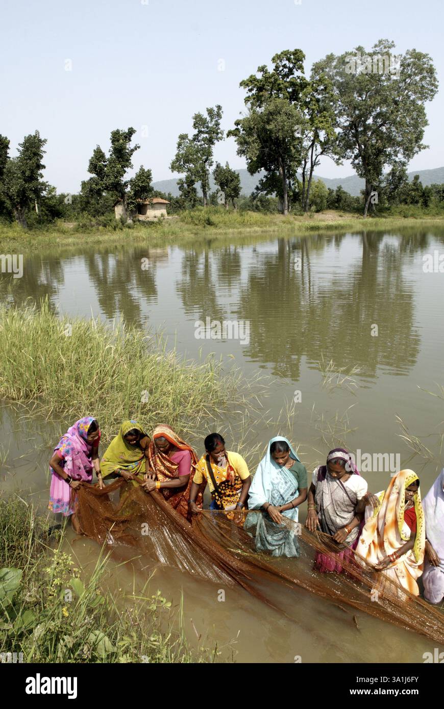 Women engage in fishing activity, Carm Daksh, Bilaspur, Chhattisgarh ...